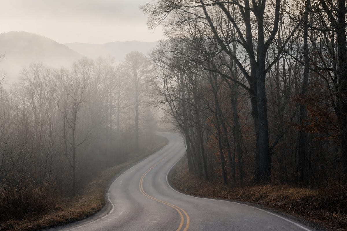 Americana in 2026: What the New Year Holds for Roots Music (Archive ...